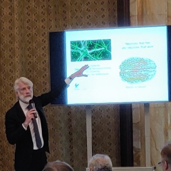 Schaken, het brein en blunders op maat